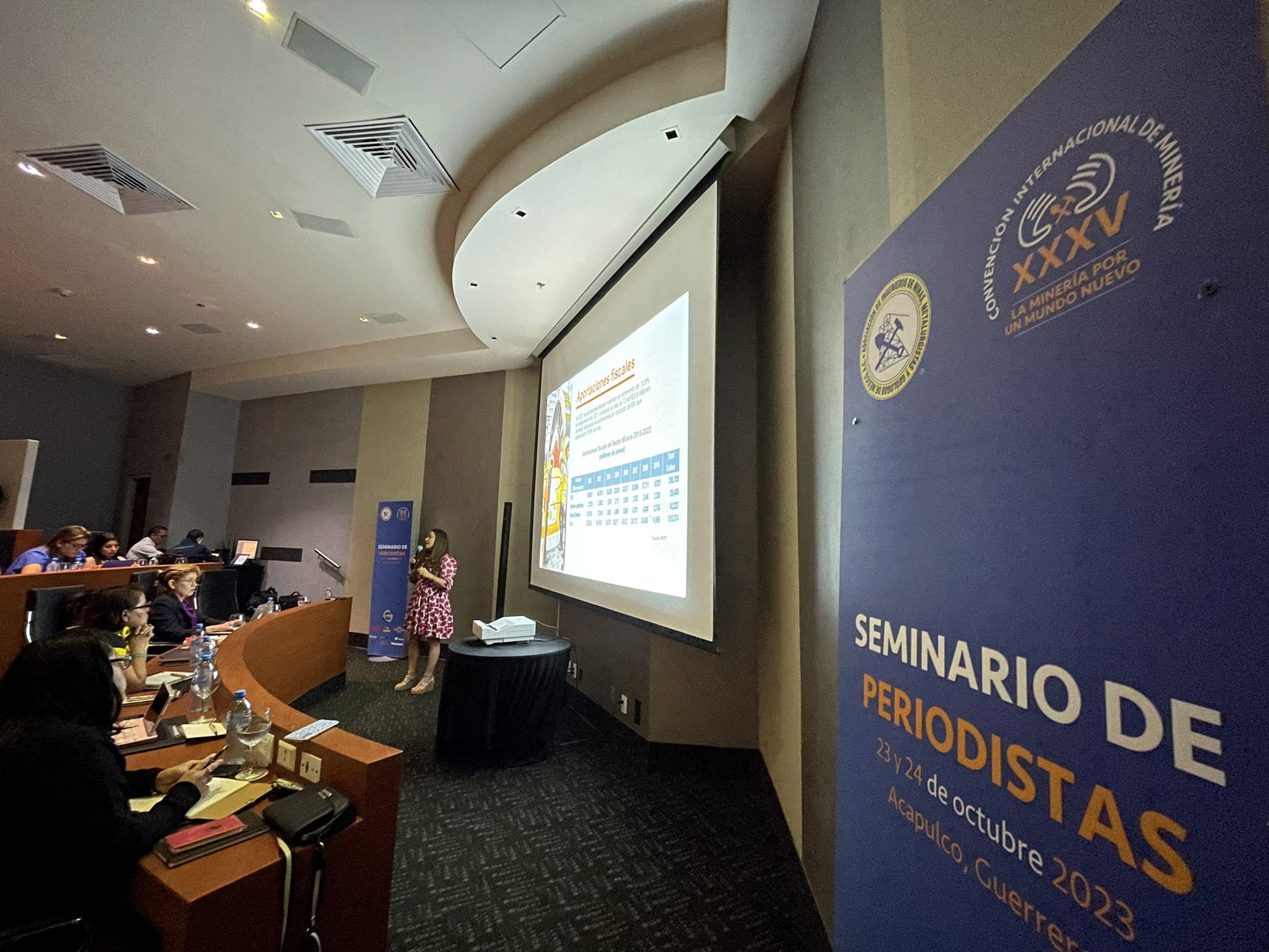 CAMIMEX urge reactivar las inversiones en la industria minera de México ...