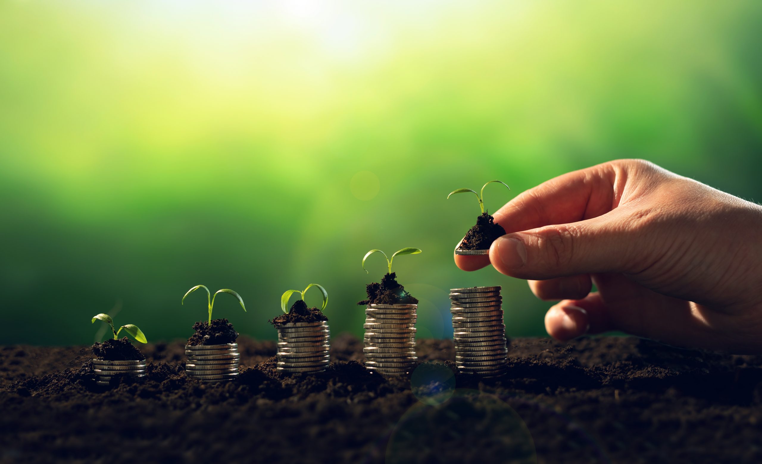 La viabilidad financiera de la descarbonización - Mining México